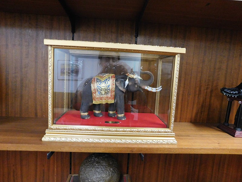 Elephant in Glass Case | City of San Diego Official Website