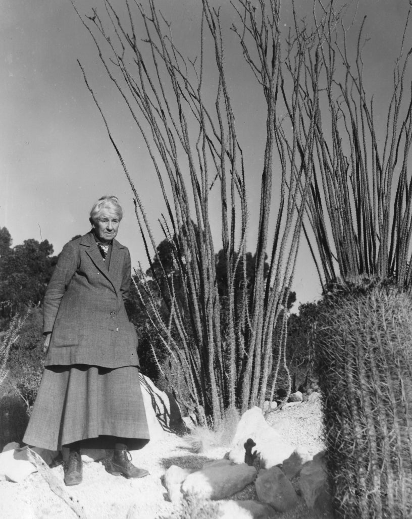 Kate Sessions | Digital Archives | City of San Diego Official Website